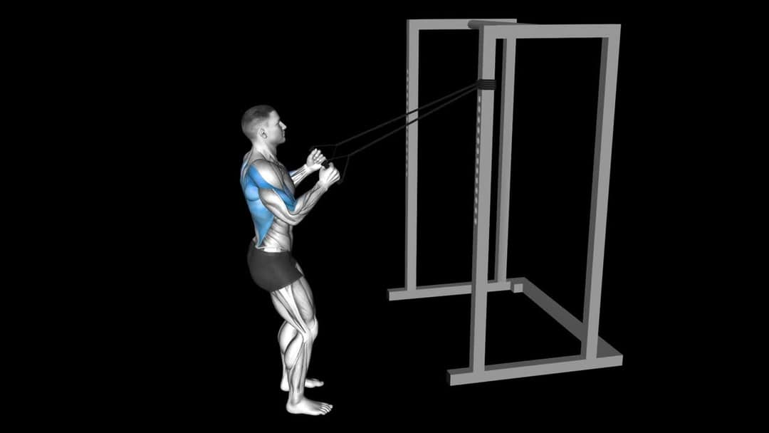 High Row Machine – How To Video, Alternatives & More