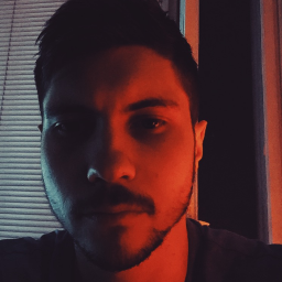 Dmitry Belkin - Webflow