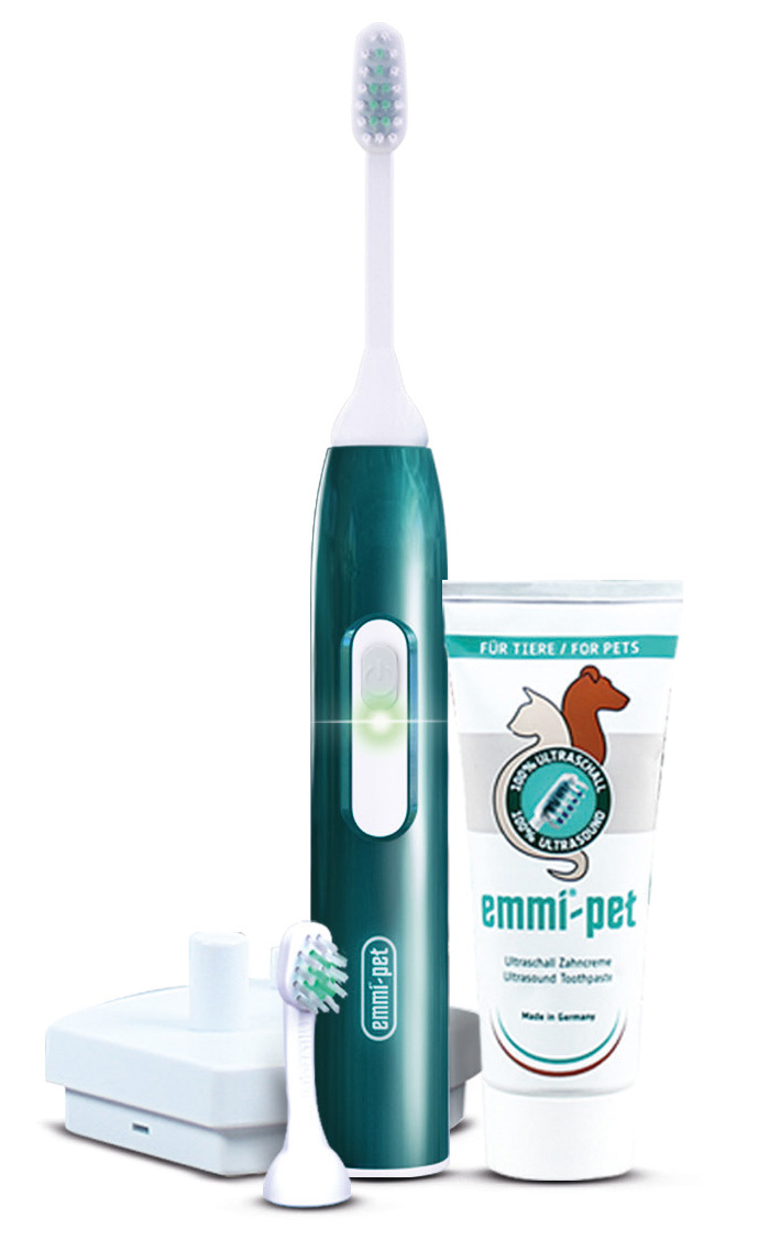 Ultrasound teeth cleaning at Trixie and Bess