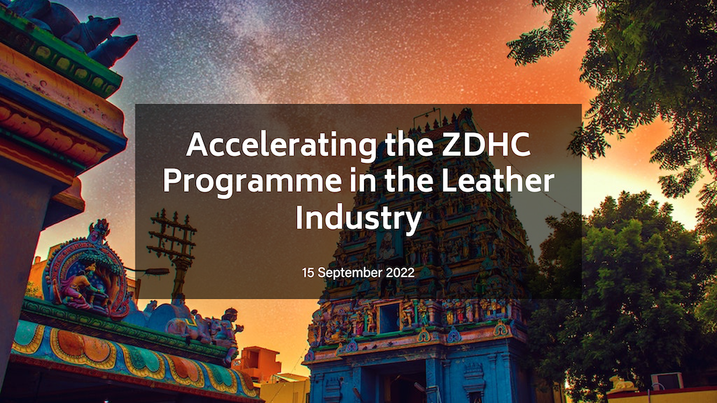 Accelerating the ZDHC Programme in the Leather Industry