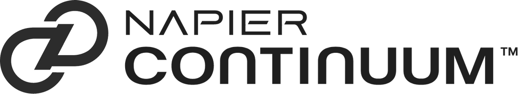 Napier: AI powered Anti-Money Laundering platform to combat evolving ...