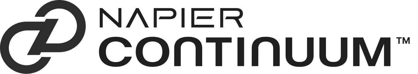 Napier: AI powered Anti-Money Laundering platform to combat evolving ...