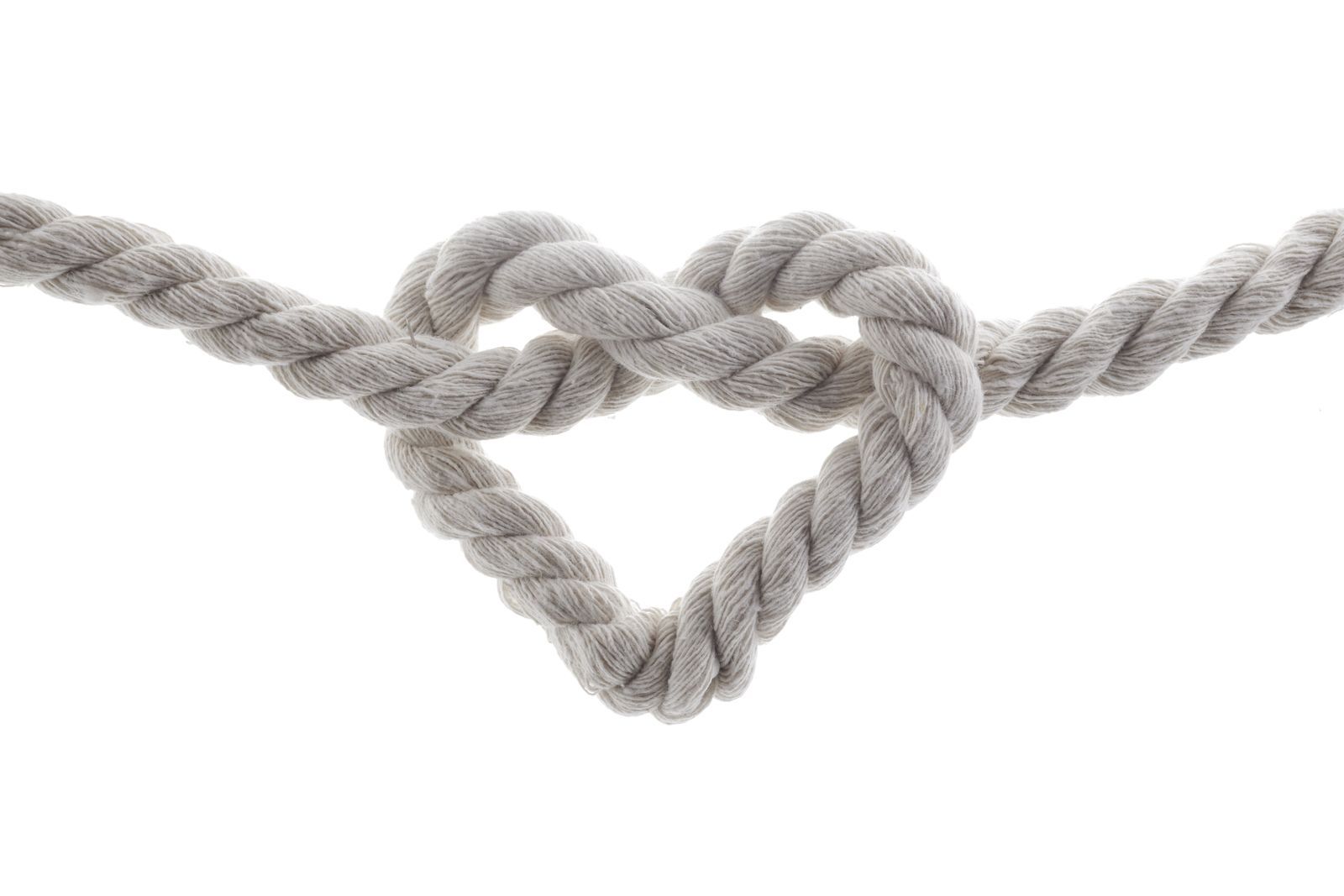 The Importance of Closing the Loop and How to do it - goShadow®