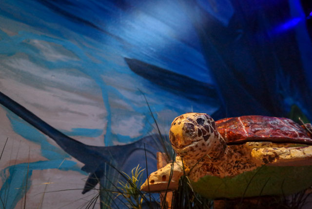 Submerged (Sea Depths) Escape Game