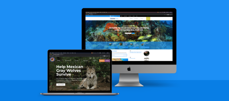 Nonprofit Landing Page Design Best Practices + Practical Tips 2022 ...