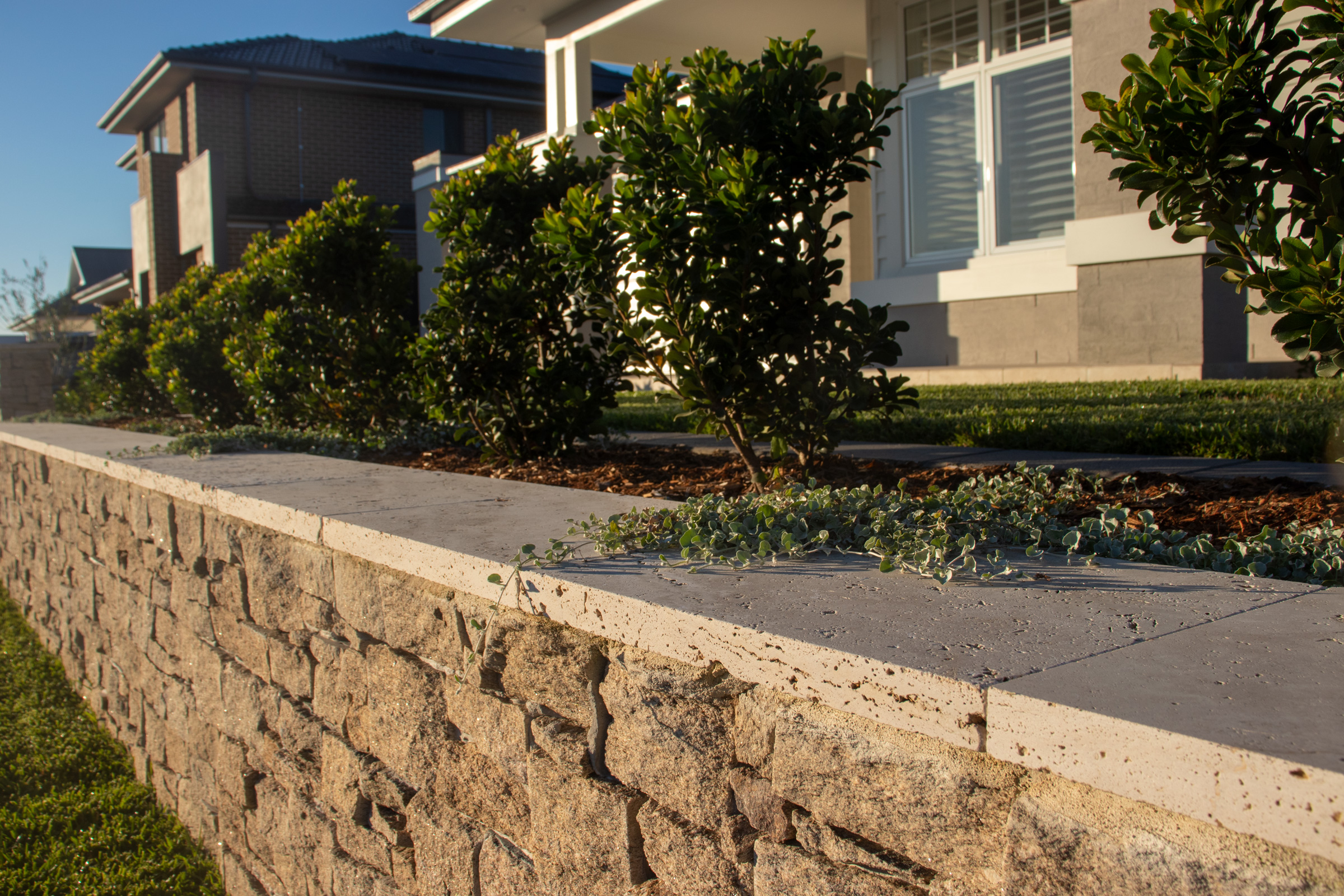 New Life Gardens & Landscaping — Bima's Project