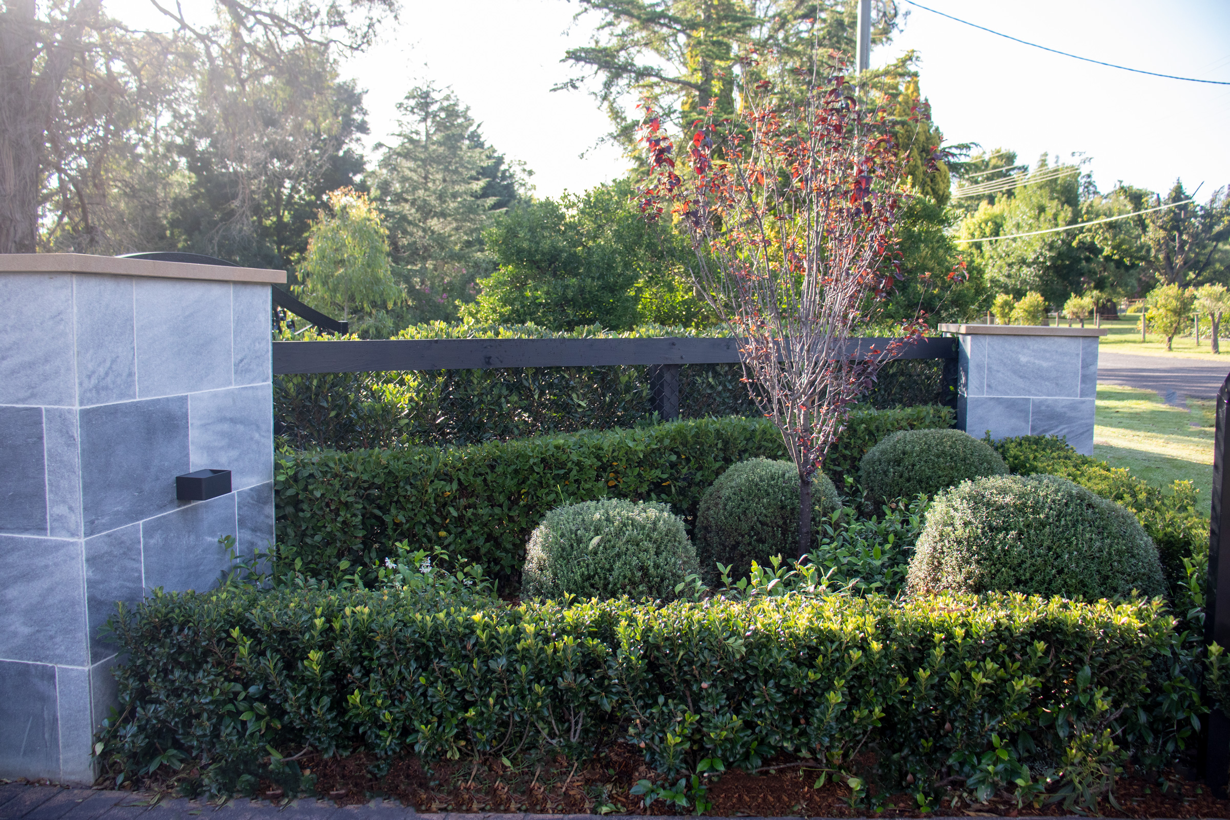 New Life Gardens & Landscaping — James & Brodie Project