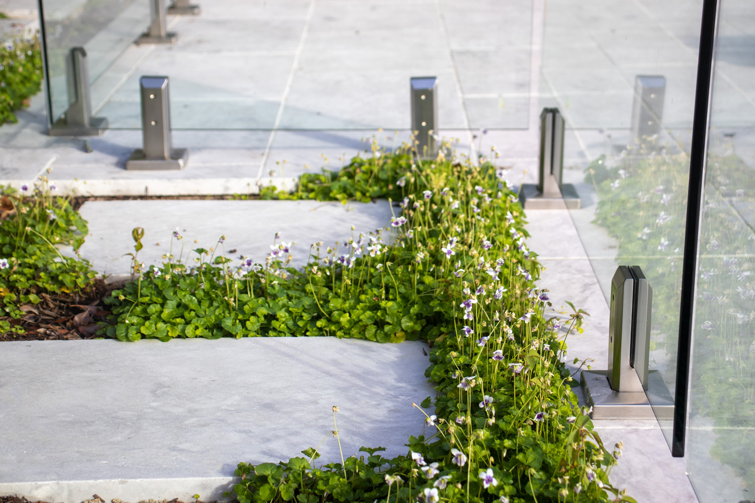 New Life Gardens & Landscaping — David & Lisa's Project