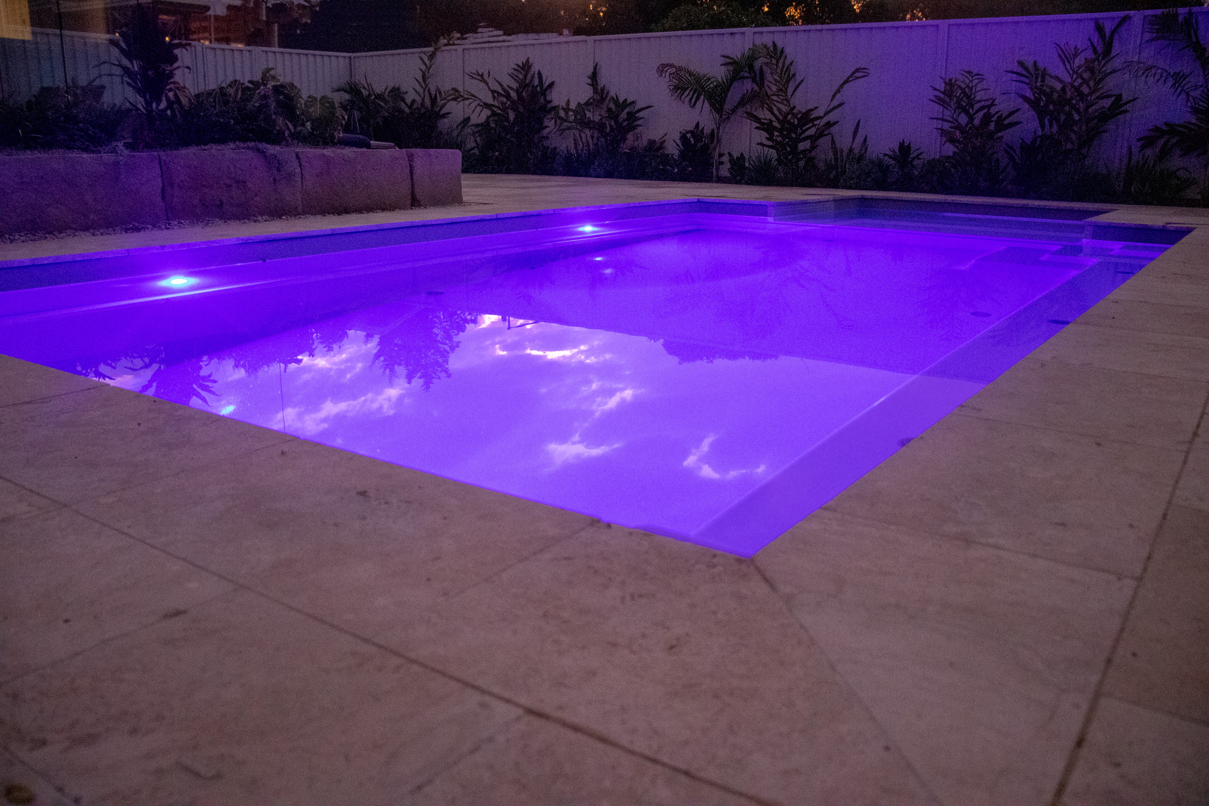 New Life Gardens & Landscaping — Daniel & Natalie's Project