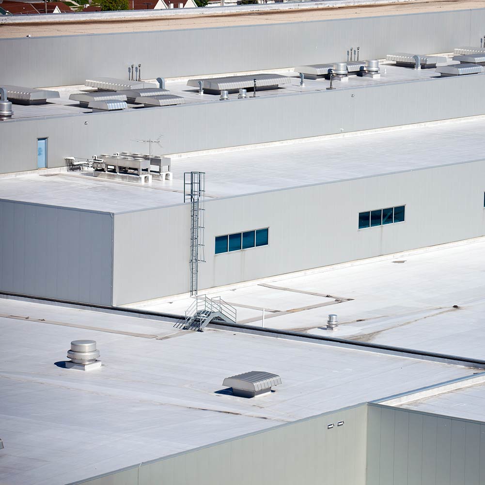 Specialised Access Solutions