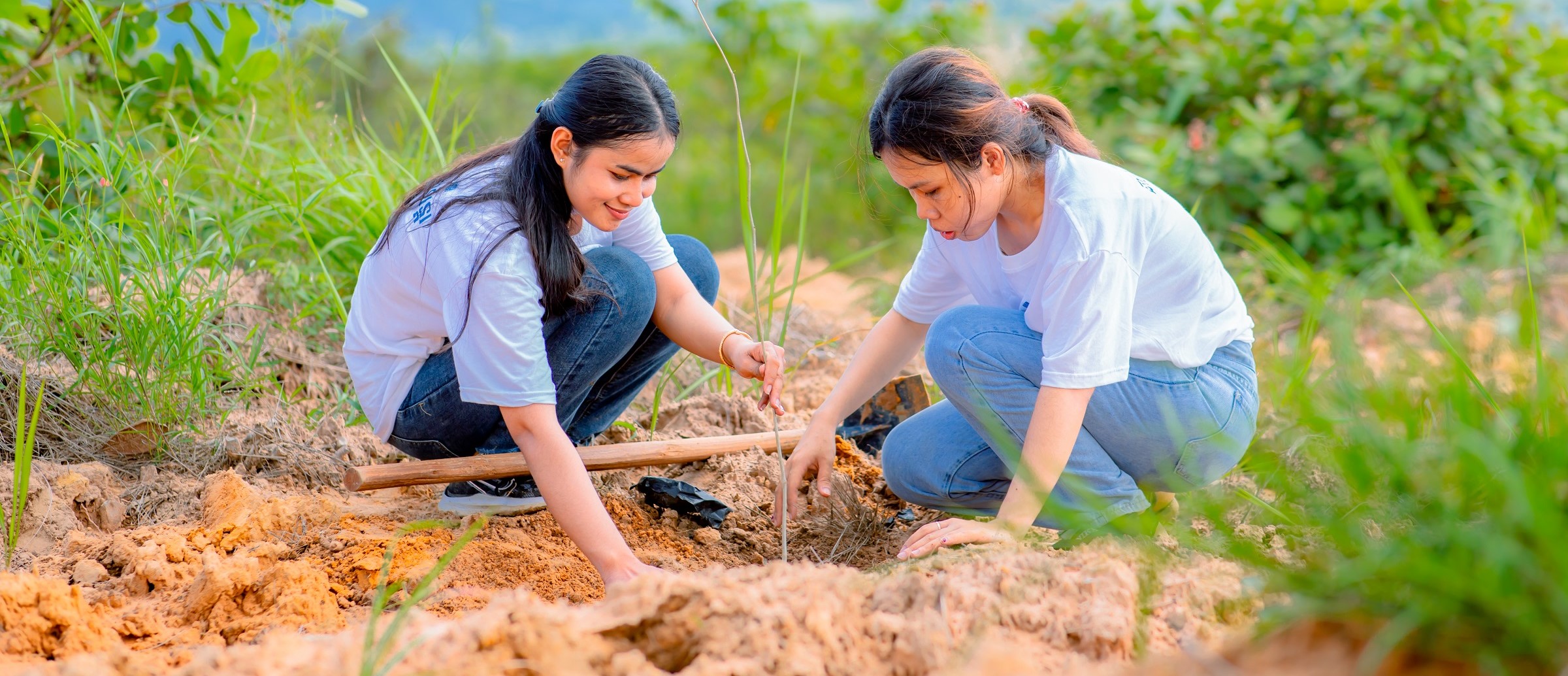 One Million Trees Program Sees New Trees Take Root in 2022