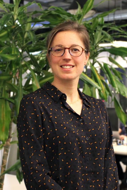 Notre équipe | M&BD Consulting