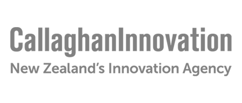 Pūhoro STEM Academy