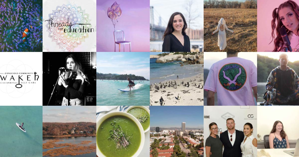 Our Portfolio - The XCMC