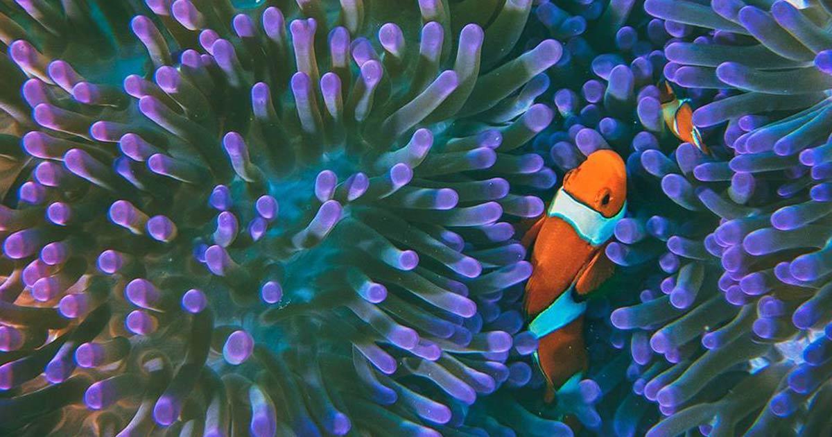 Contact Us - The XCMC