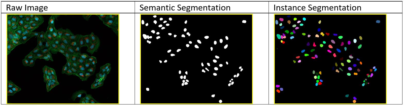 APEER Blog - What is semantic and instance segmentation?