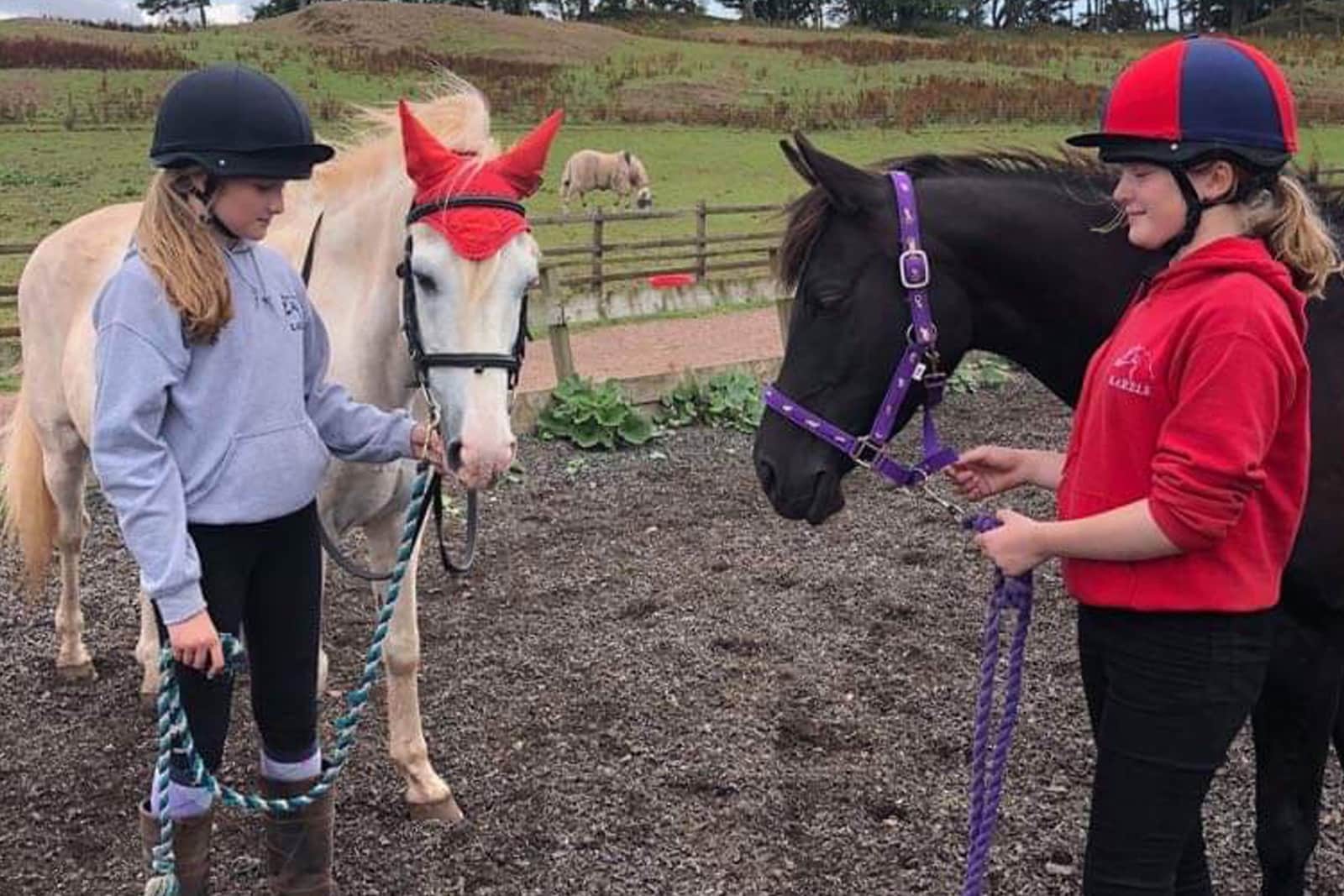 Karele Equine | East Lothian Ladies