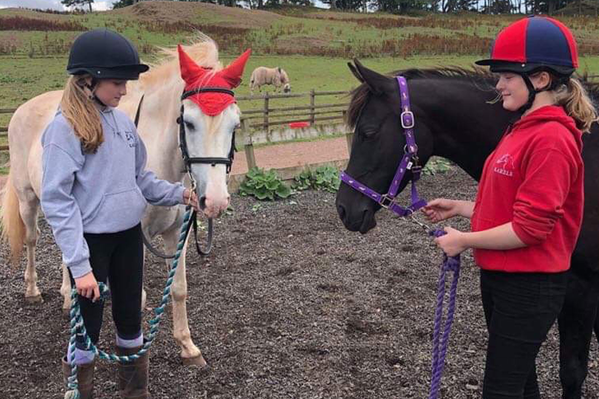 Karele Equine | East Lothian Ladies