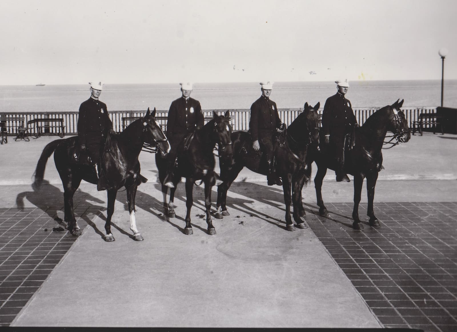 MPD Mounted Patrol Foundation