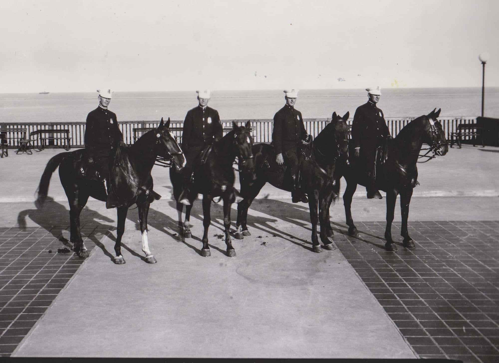 MPD Mounted Patrol Foundation