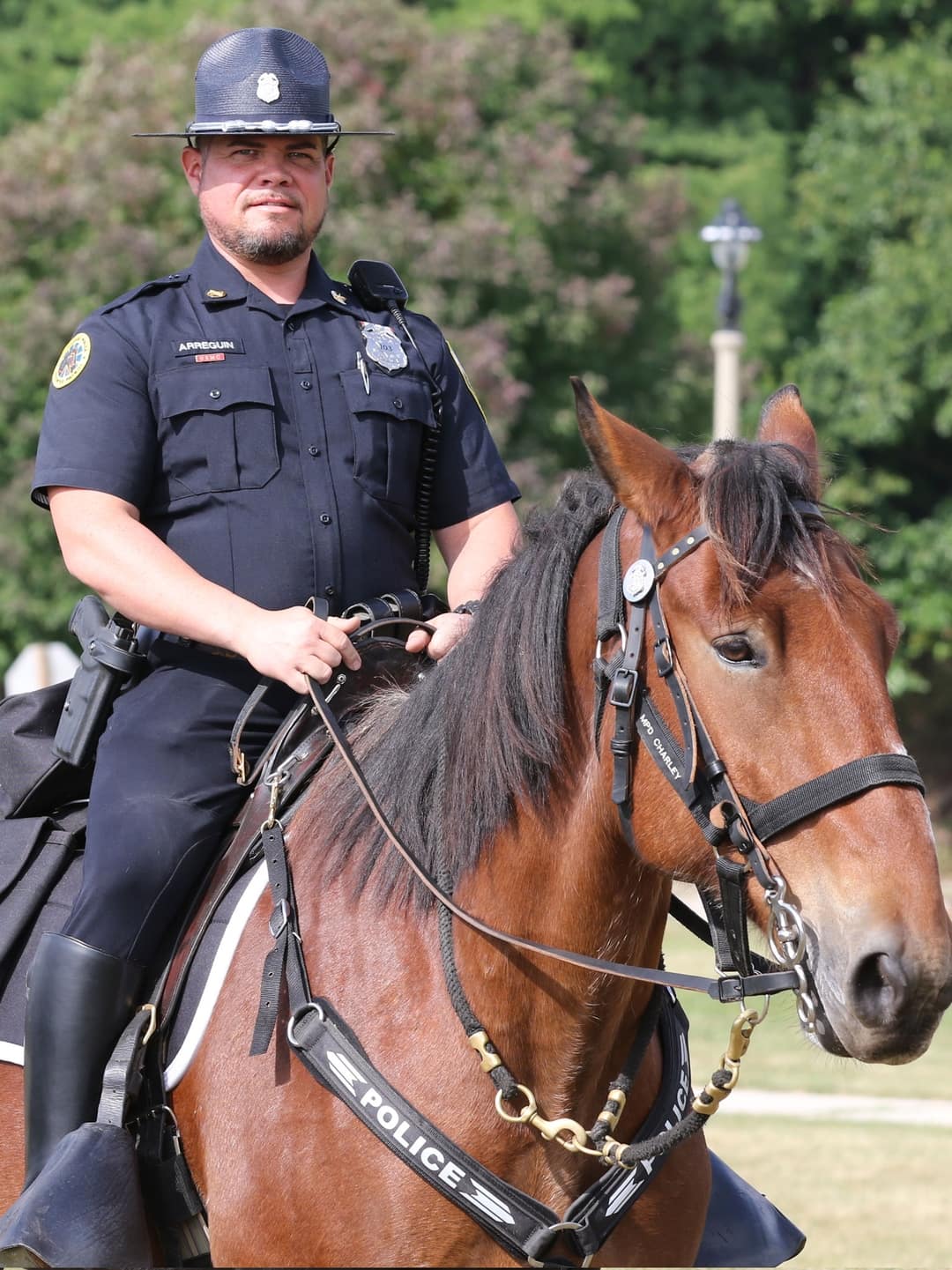 The Milwaukee Police Mounted Patrol Unit
