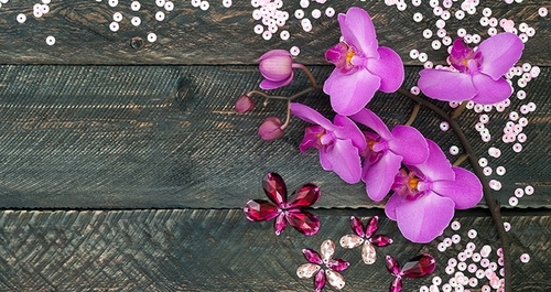 Importing Flowers into Canada: 7 Steps | PCB