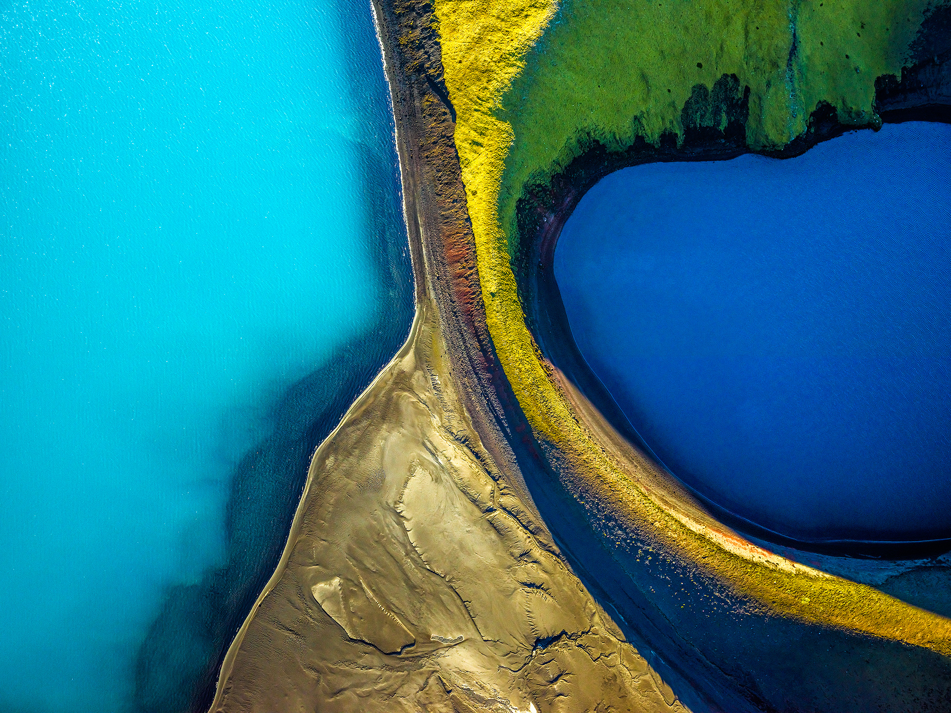 Roger Fishman | Artist & Adventurer