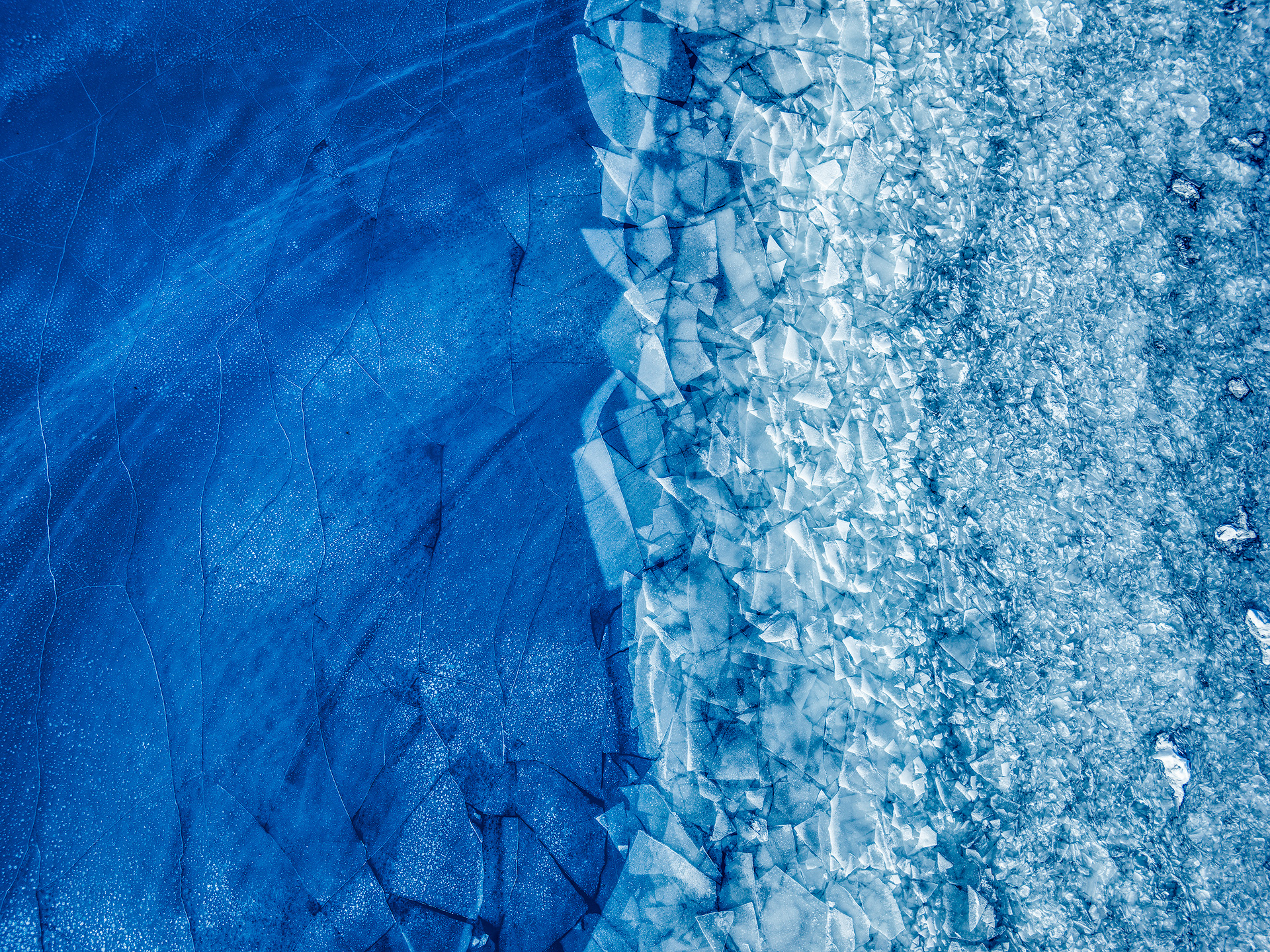 Roger Fishman | Artist & Adventurer