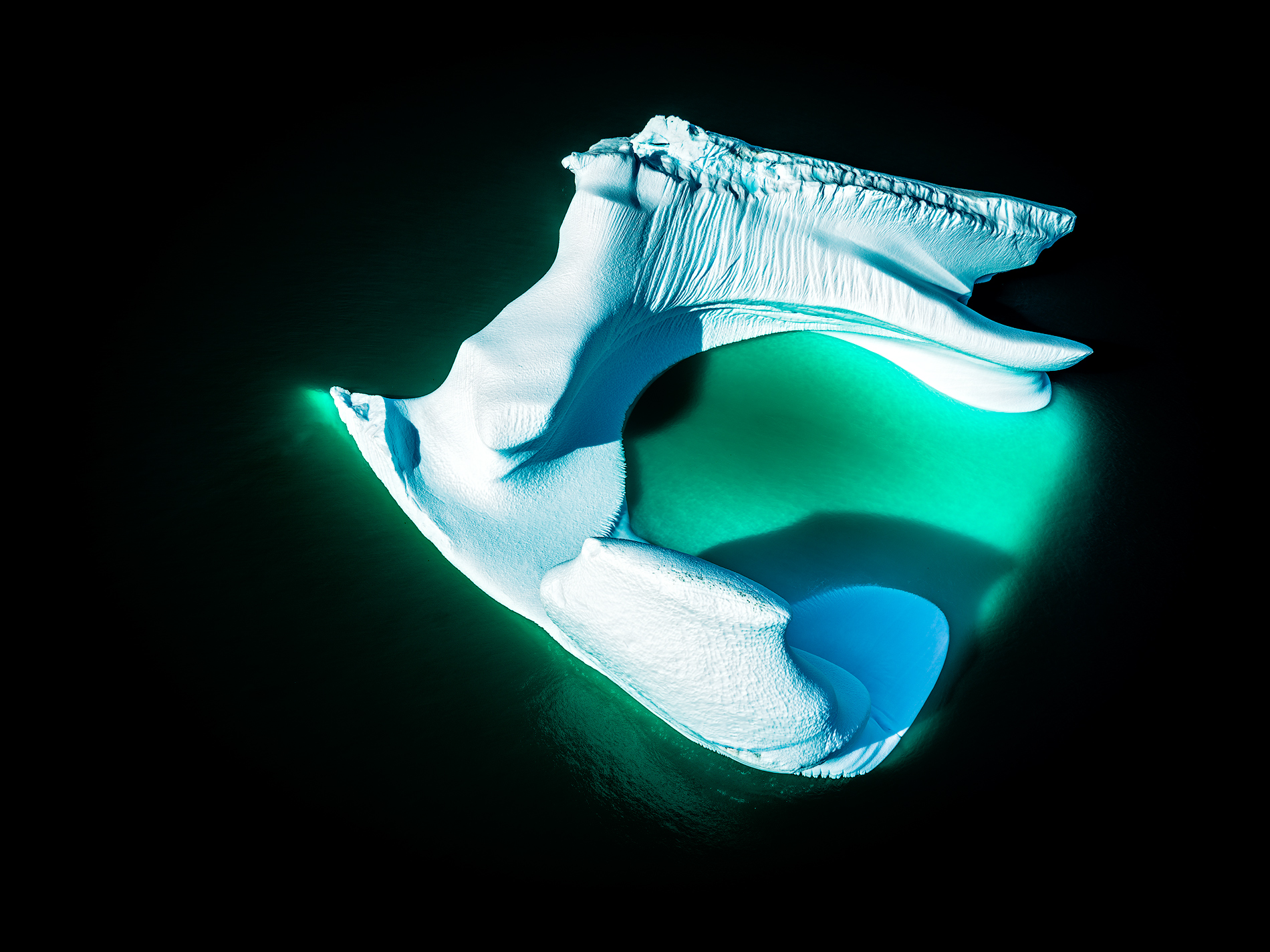 Roger Fishman | Artist & Adventurer