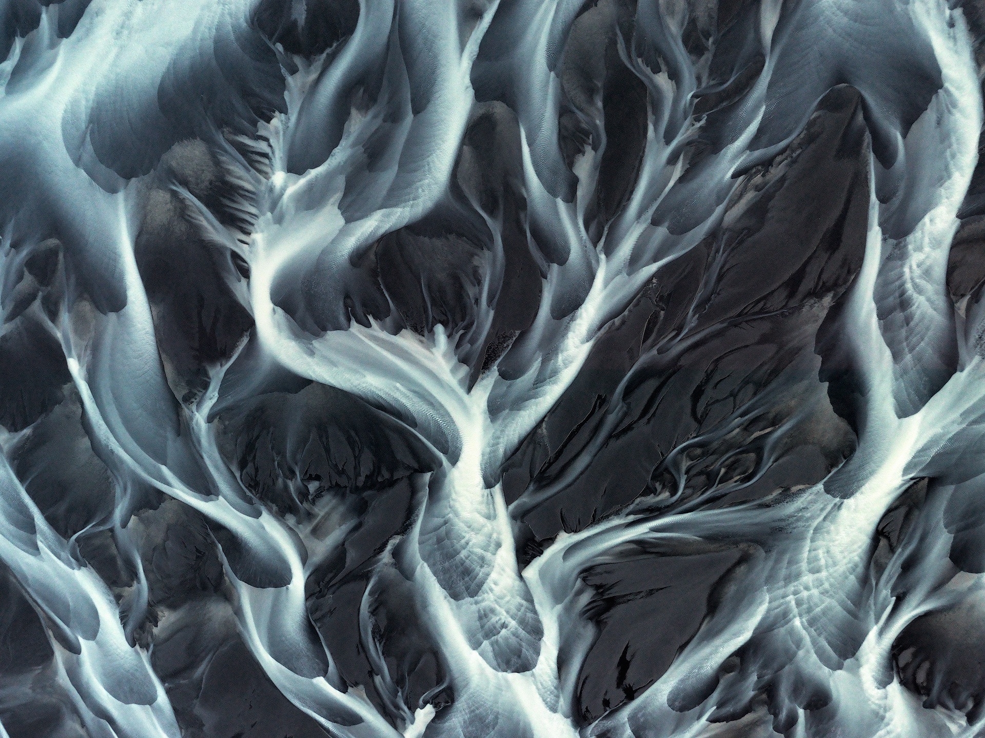 Roger Fishman | Artist & Adventurer