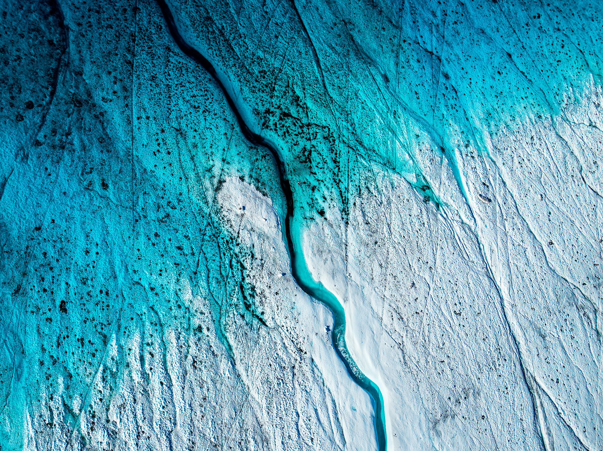 Roger Fishman | Artist & Adventurer