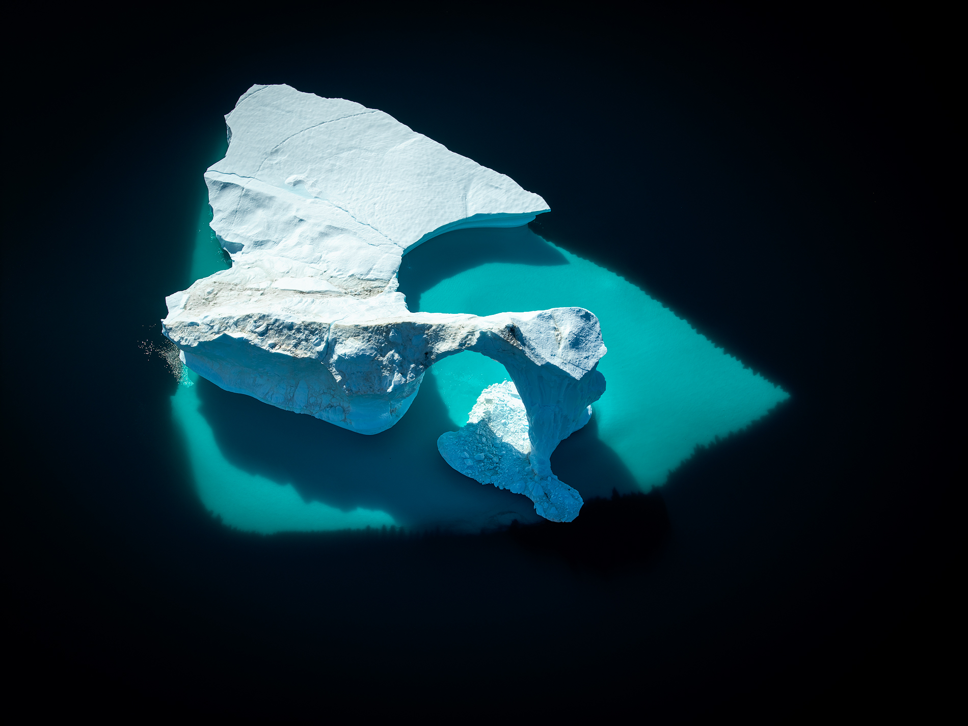 Roger Fishman | Artist & Adventurer