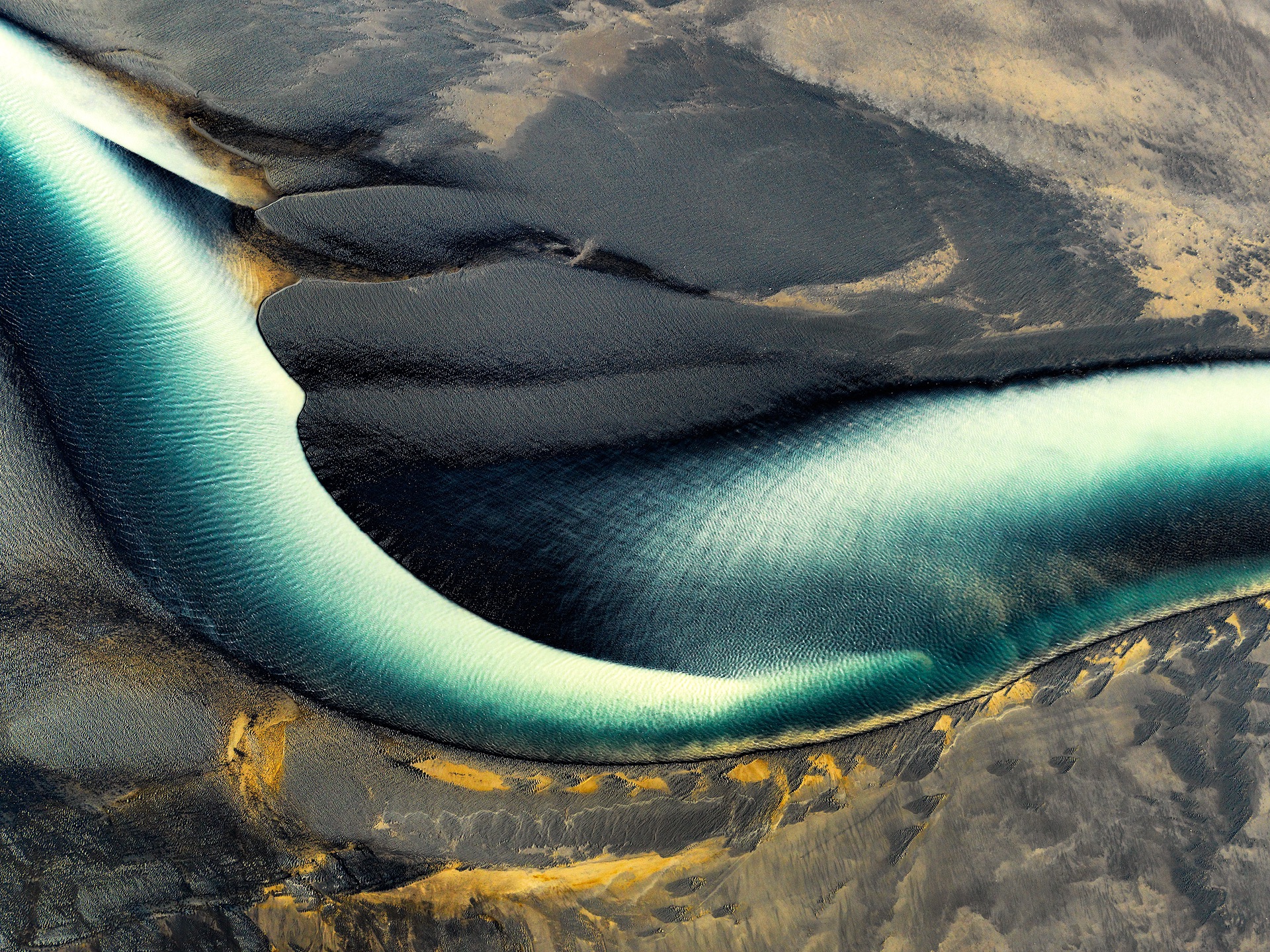 Roger Fishman | Artist & Adventurer