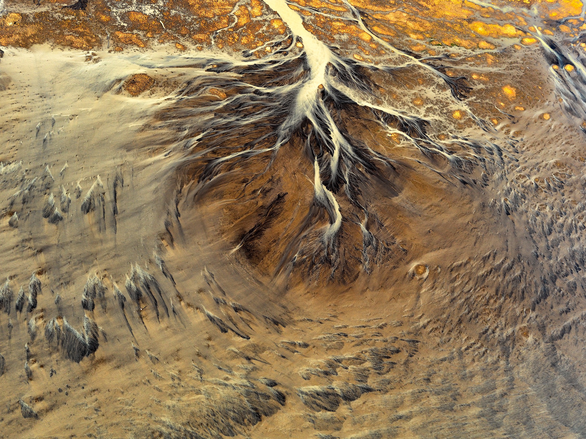 Roger Fishman | Artist & Adventurer