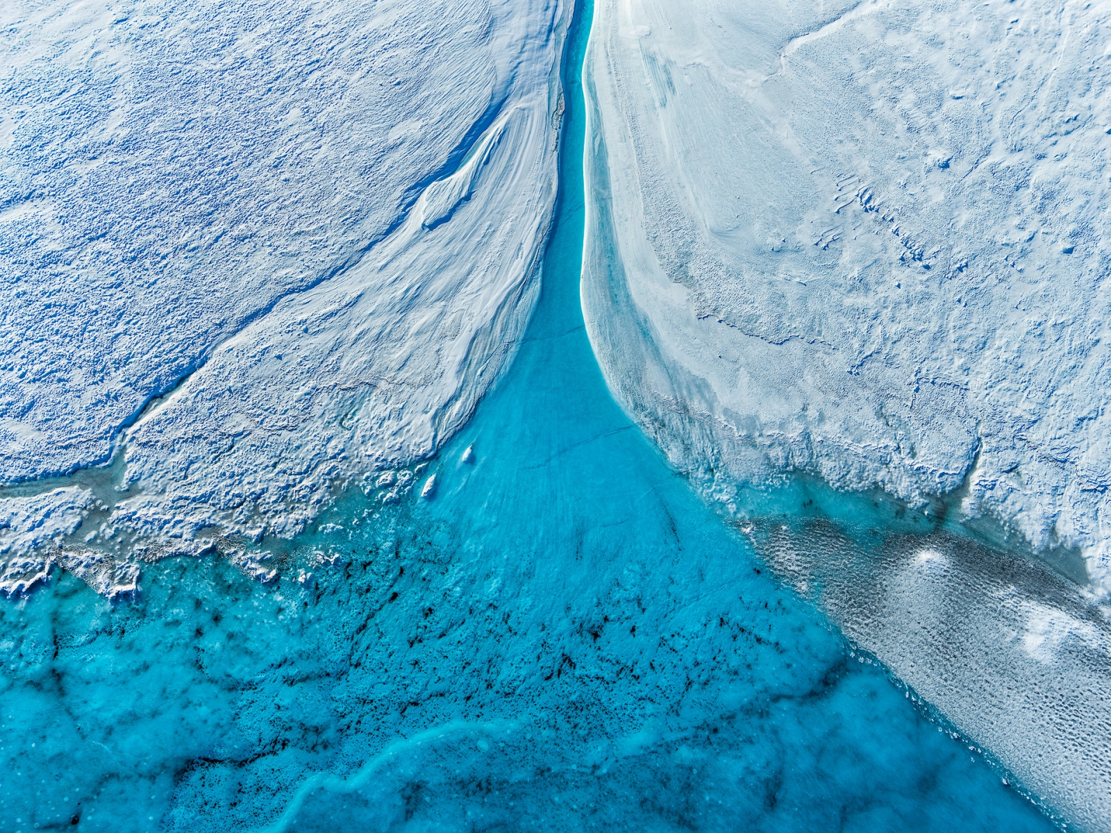 Transformation | Roger Fishman, Artist & Adventurer