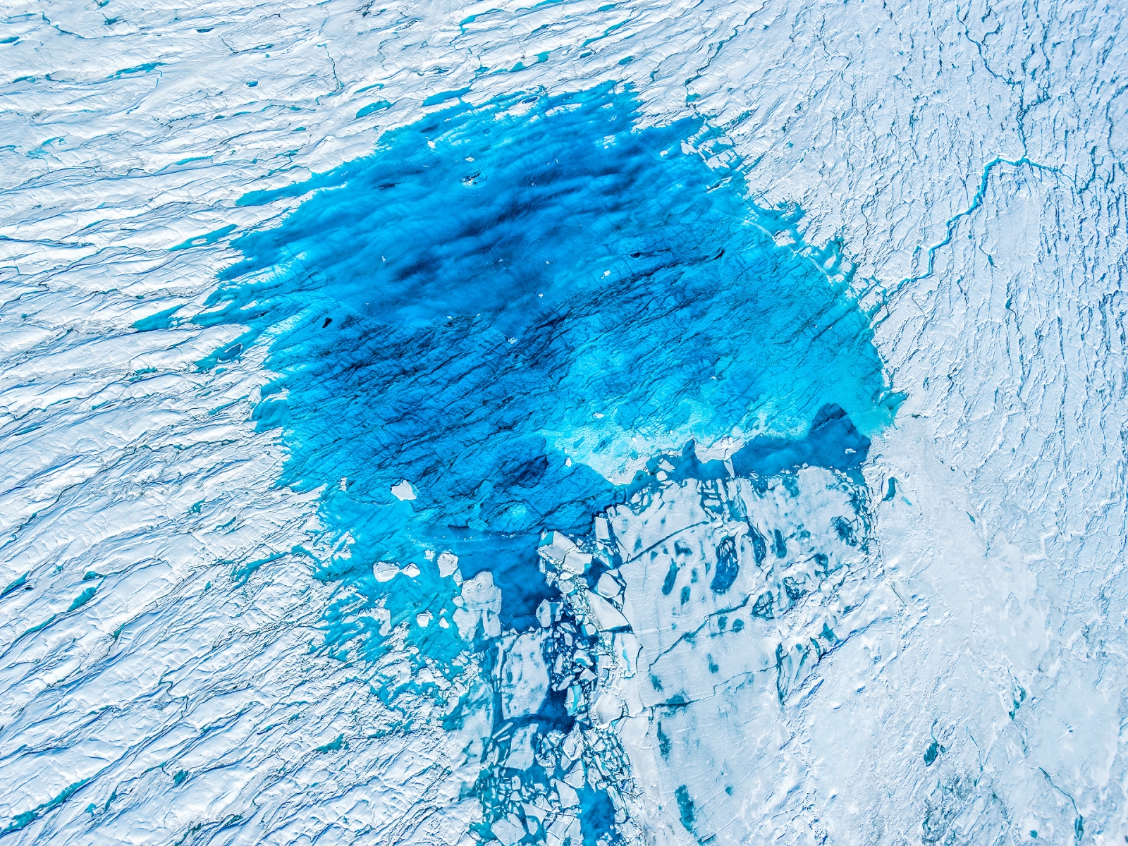 Transformation | Roger Fishman, Artist & Adventurer