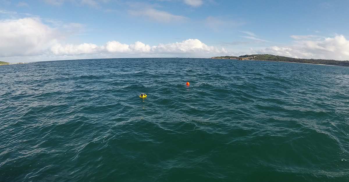 Wave Swell Energy Deploys a Spotter wave buoy to support their King ...