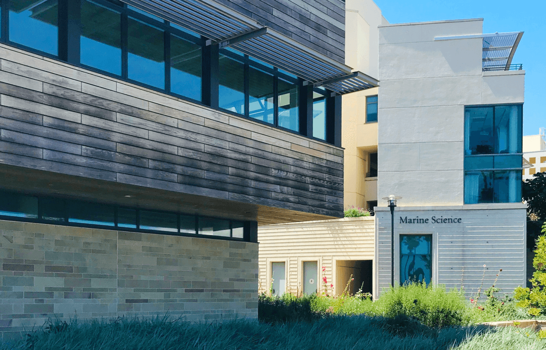 Nectir: #1 Active Learning Platform