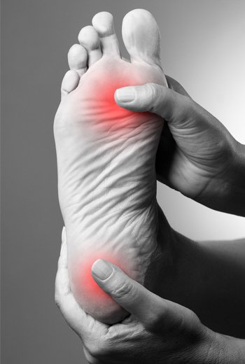 Ortopedi