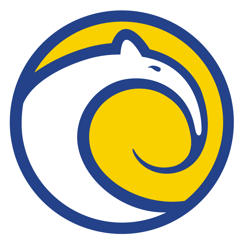 Insights Capture - Record & Review Made Easy