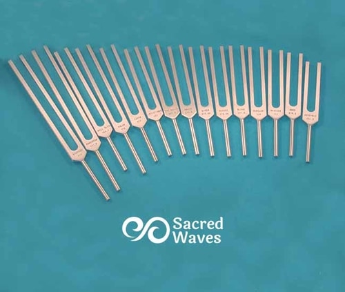 Human Organ Tuners STD w/Activator | Tuning Forks | Sacred Waves