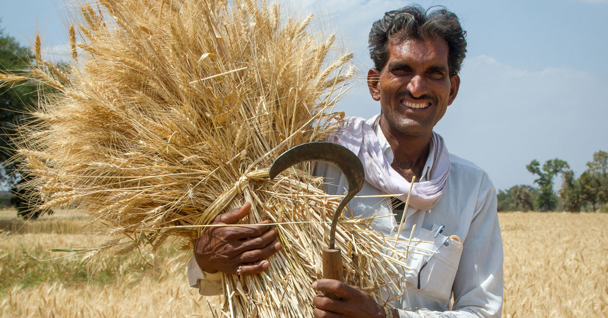 TechnoServe 2018 Annual Impact Report