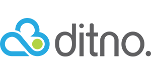 ditno. security made simple