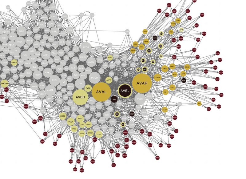 Publications | Network Science Institute at Northeastern University