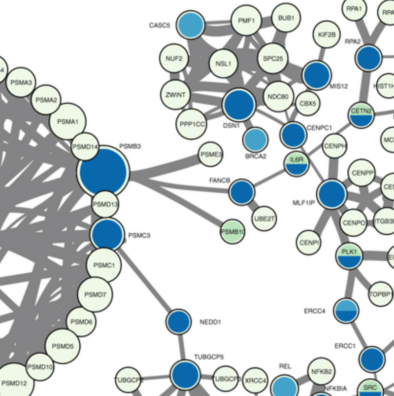 Publications | Network Science Institute at Northeastern University