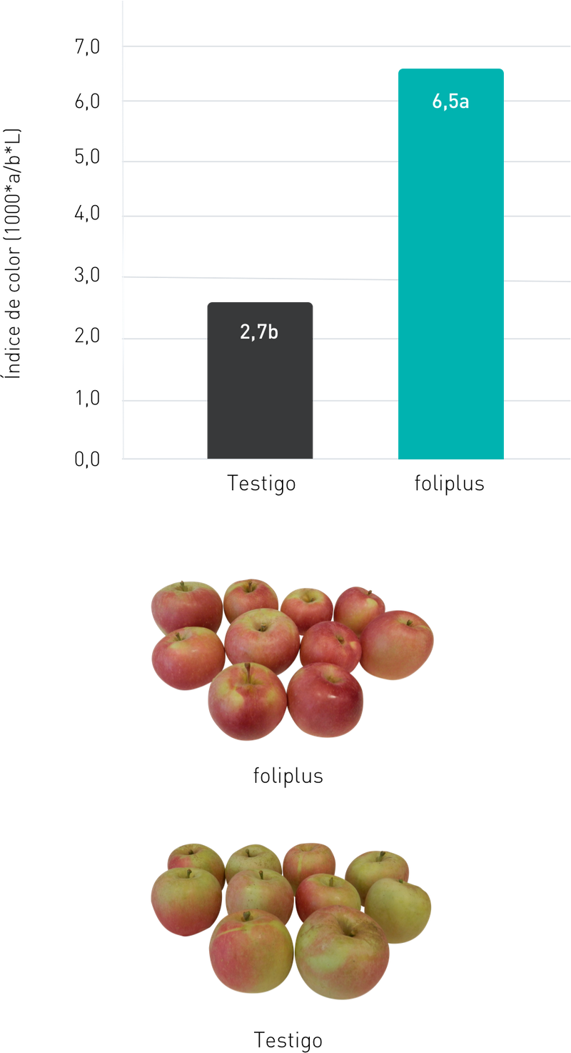 Bioestimulante manvert foliplus - Para todos los cultivos