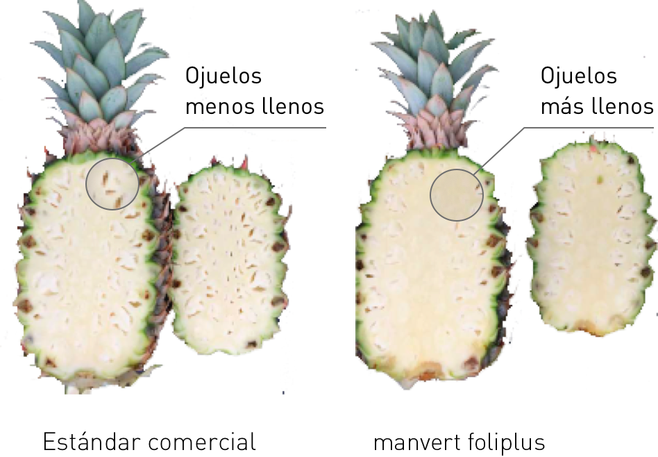 Bioestimulante manvert foliplus - Para todos los cultivos