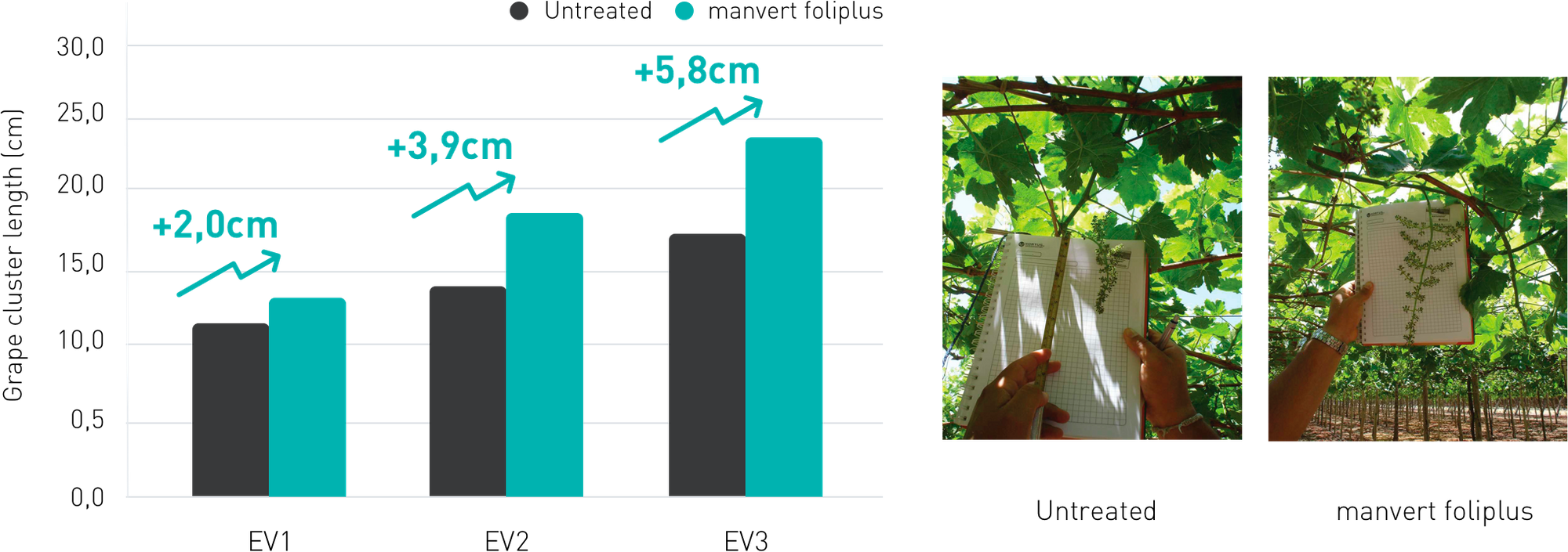 Biostimulant manvert foliplus - For all types of crops