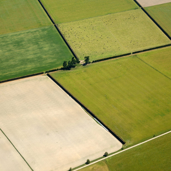 Avance Freight – Services