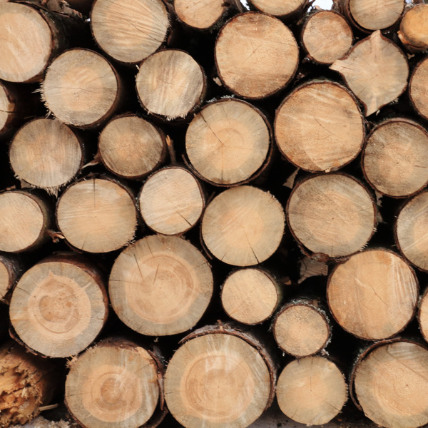 Avance Freight – Services